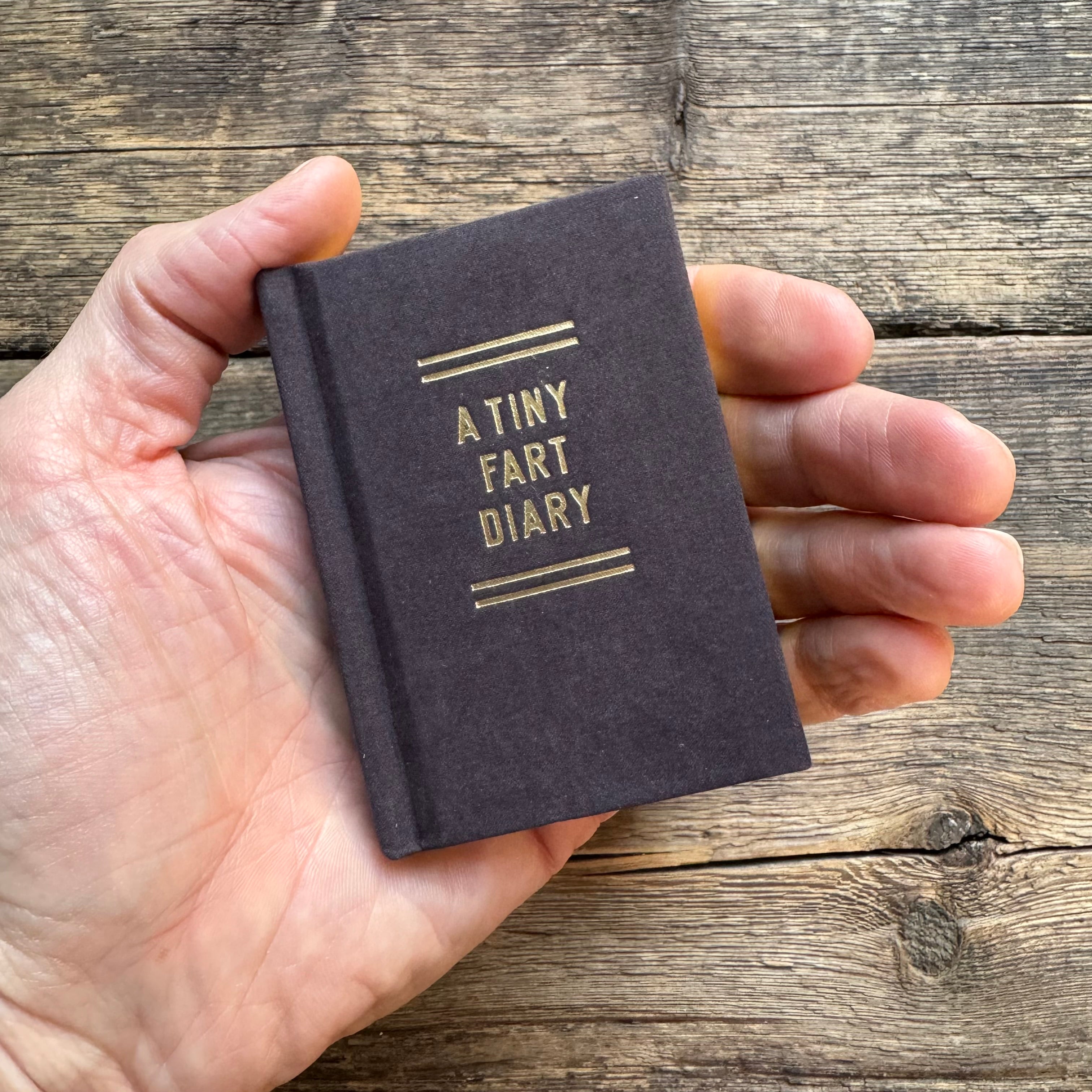 A Tiny Fart Diary – SAULT New England