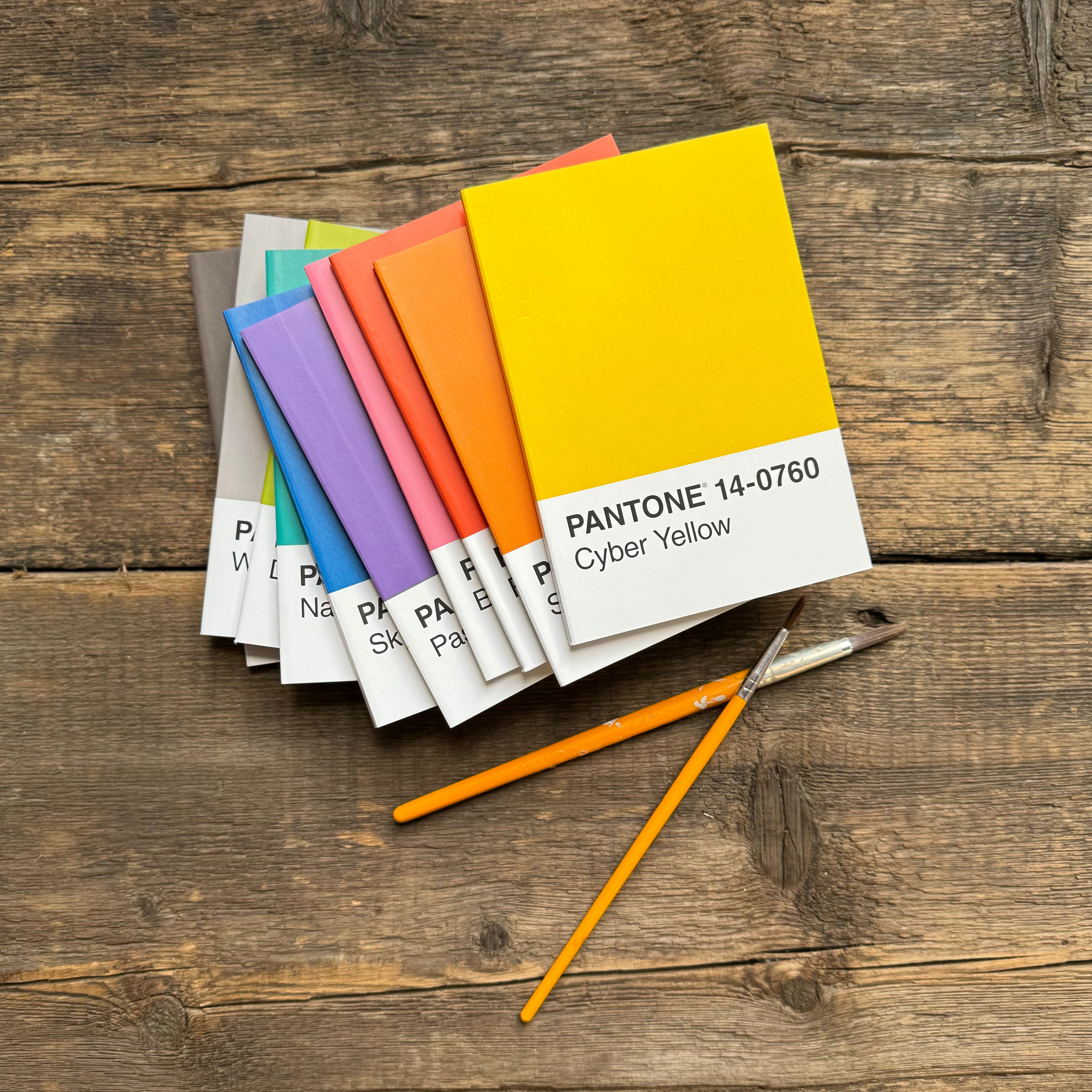 Pantone: 10 Notebooks – SAULT New England