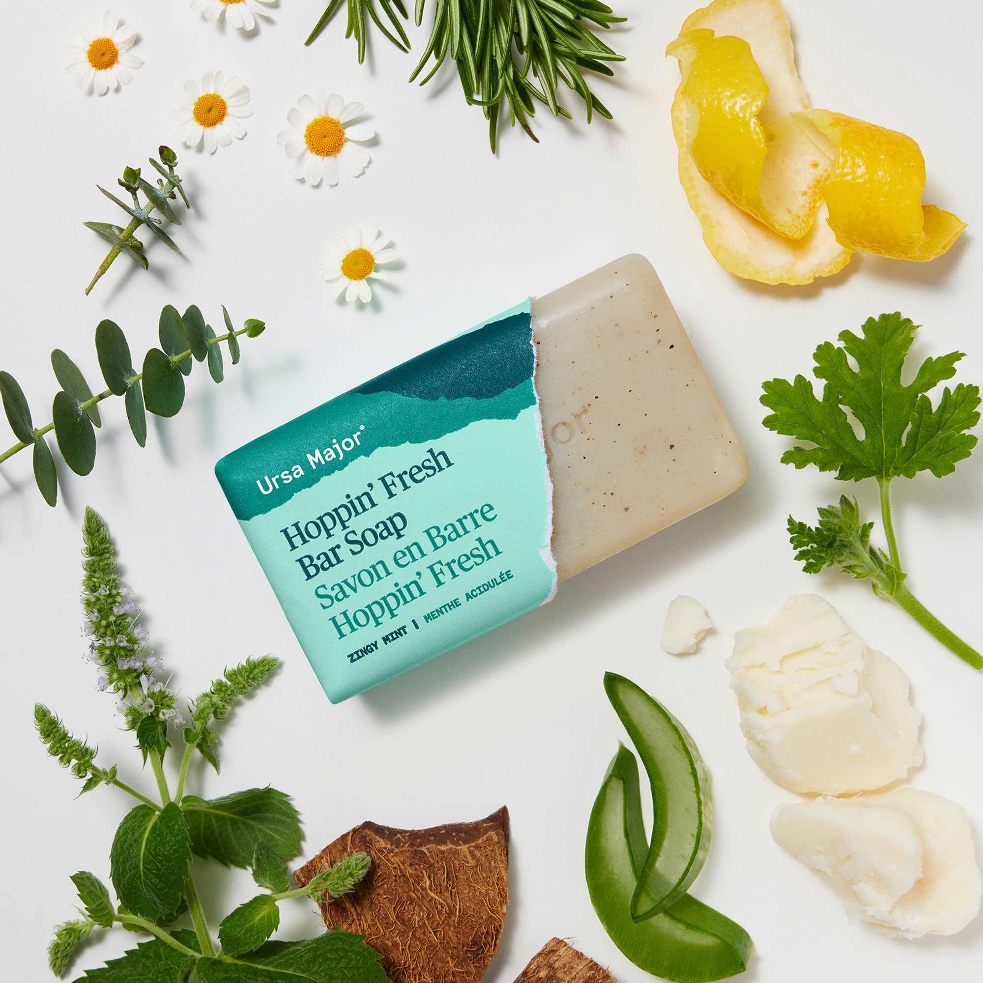 Hoppin' Fresh Bar Soap – SAULT New England